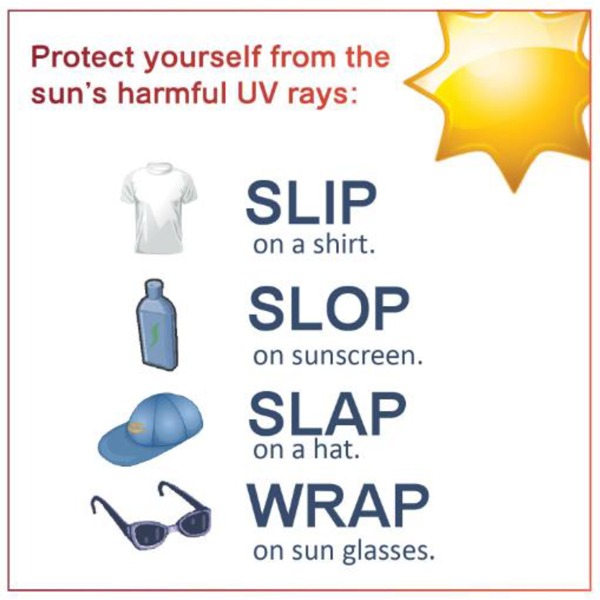 Programs - Shepparton Netball Association